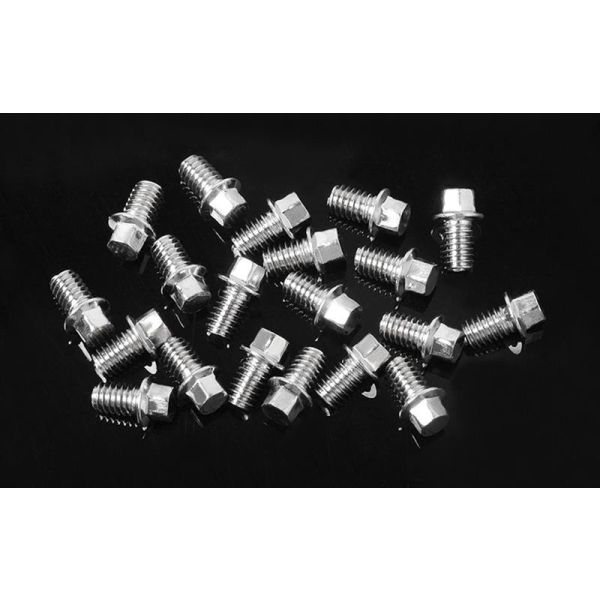 RC4WD Miniature Scale Hex Bolts (M2.5 X 4mm) (Silver) (Z-S1563)